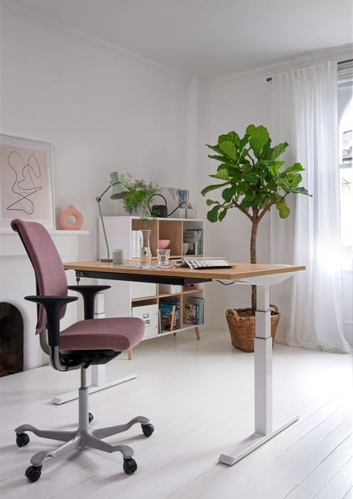 Ergonomic Back Pain Solutions at Home and at Work - Back in Action