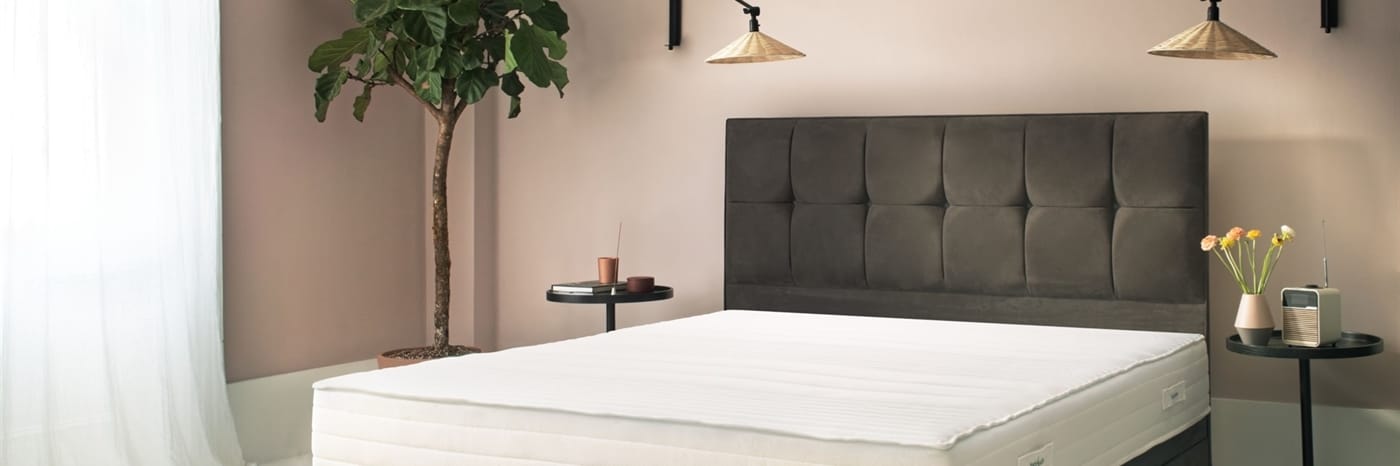 BackInAction Mattress Cover - Back in Action