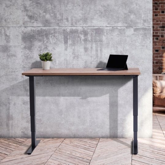 Lavoro Sit to Stand - Back in Action