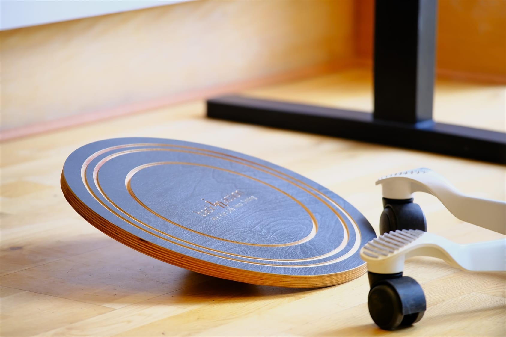 Back In Action Balance Boards - Back in Action