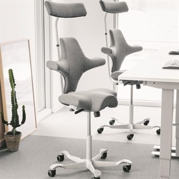 HAG Office Chairs - Back in Action