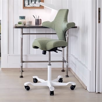 HAG Office Chairs - Back in Action