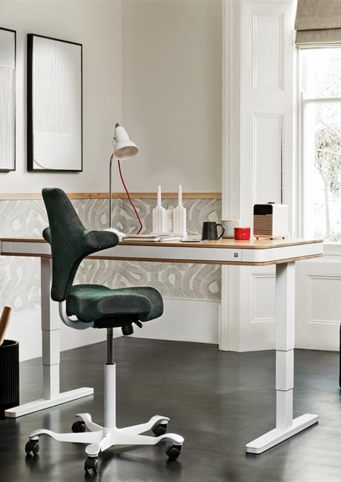 Ergonomic Back Pain Solutions at Home and at Work - Back in Action
