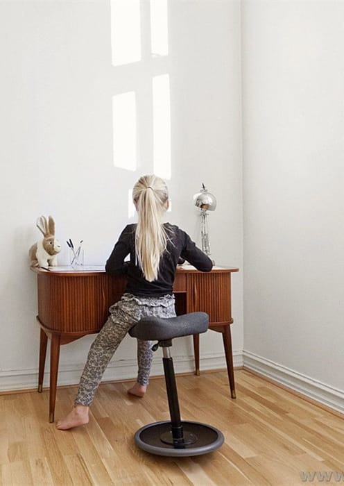 Ergonomic Back Pain Solutions at Home and at Work - Back in Action