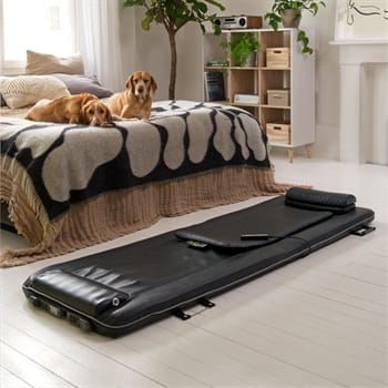 The Mobiliser - Back in Action