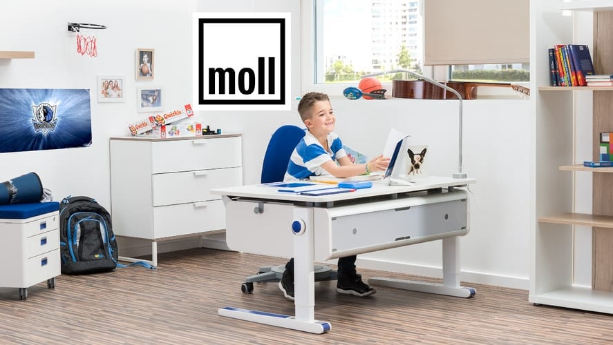 Moll Winner Compact - Back in Action