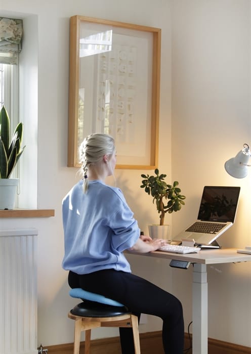Ergonomic Back Pain Solutions at Home and at Work - Back in Action