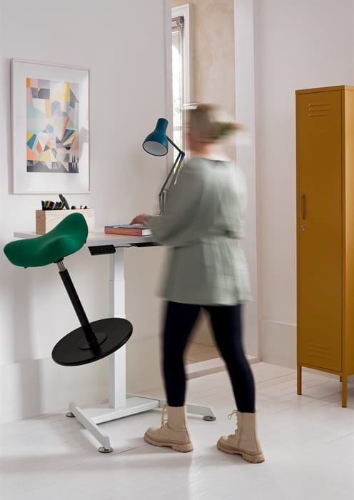 Ergonomic Back Pain Solutions at Home and at Work - Back in Action