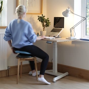Ergonomic Back Pain Solutions at Home and at Work - Back in Action