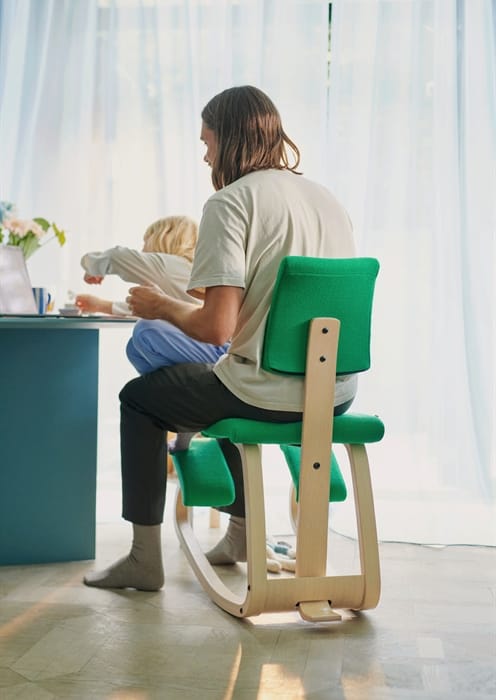 Ergonomic Back Pain Solutions at Home and at Work - Back in Action