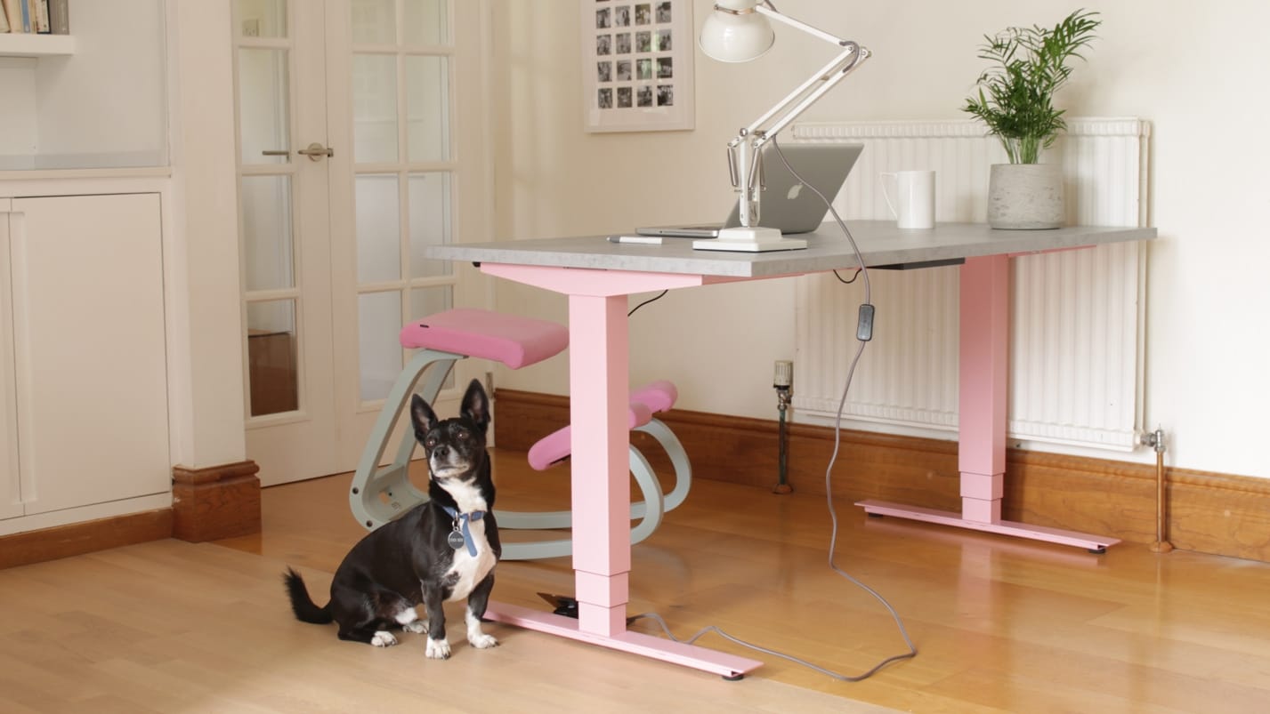 Varier Variable Balans Kneeling Chair - Back in Action