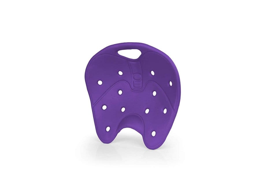 Backjoy Posture Support - Back in Action