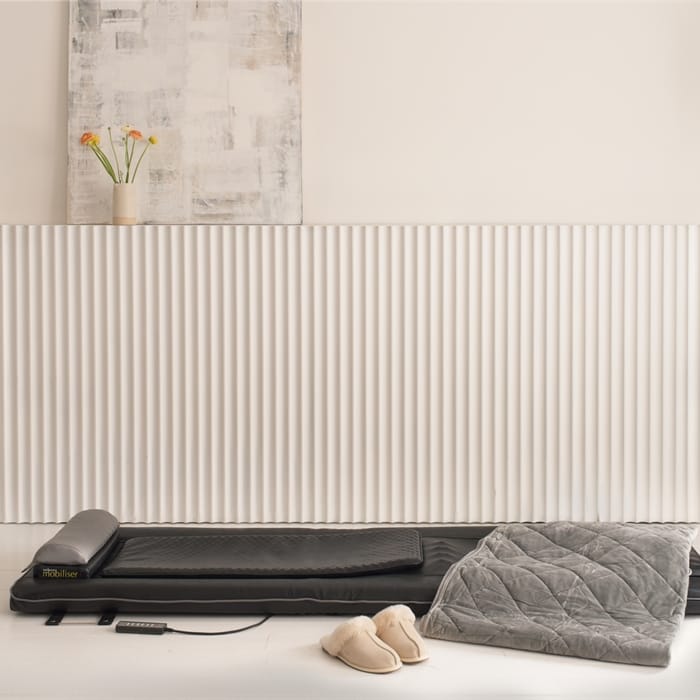 Buy Mobiliser - Back in Action