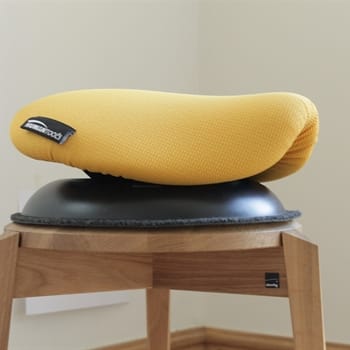 Healthy Back Bags - Back in Action