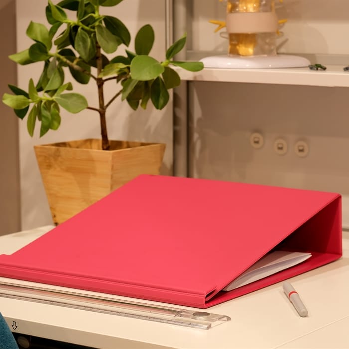 Posture Pack Complete - Back in Action