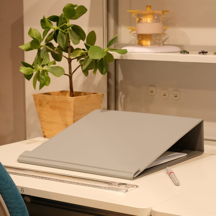 Posture Pack Complete - Back in Action